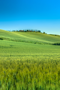 Seasons in Italy- Everything you Need to Know - Savoring Italy