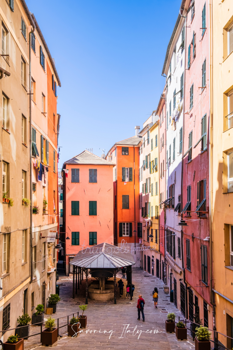41 Reasons to Visit Genoa, Italy: Activities and Attractions Guide