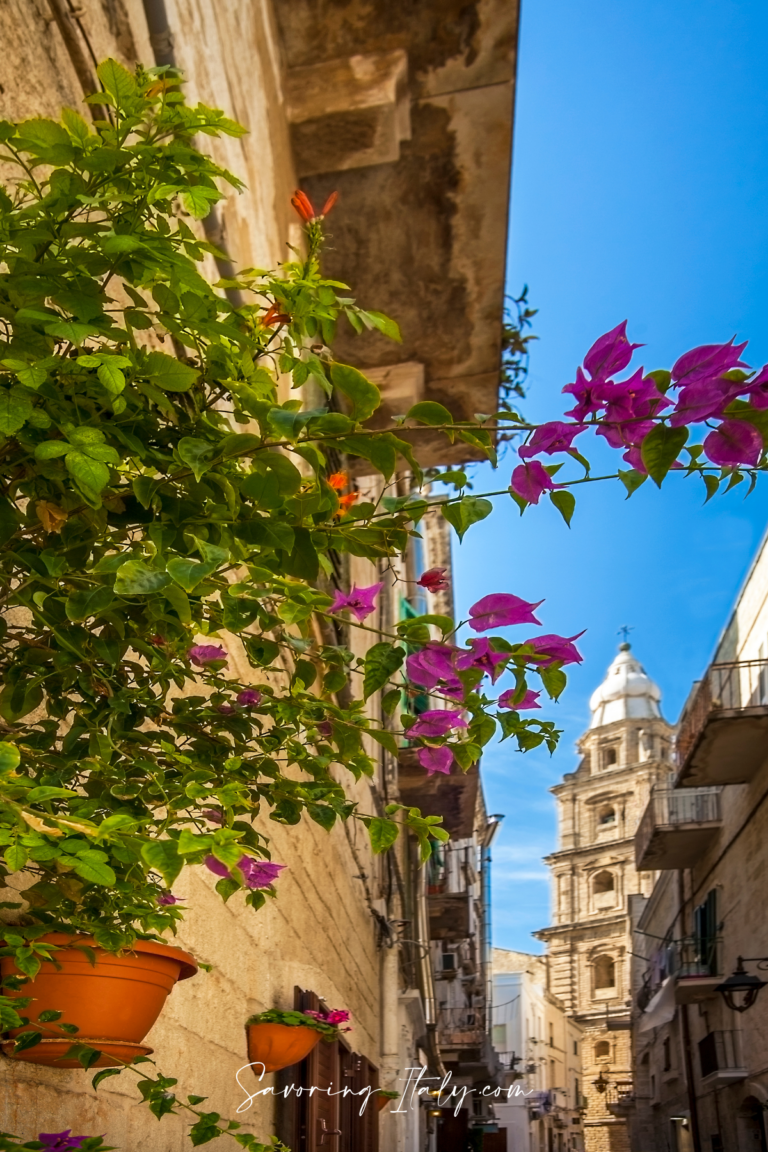 The Best Activities & Attractions in Monopoli, Italy
