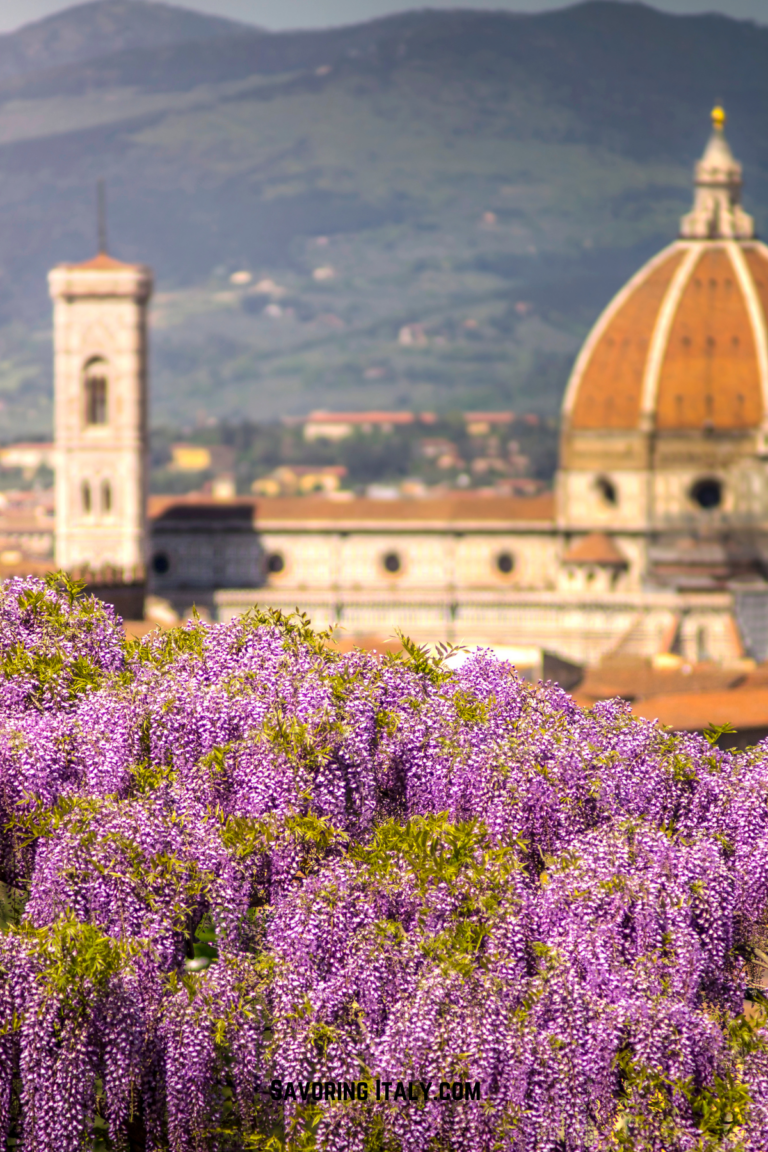 35 BEST Things to do in Florence, Italy (2024 Travel Guide) - Savoring ...