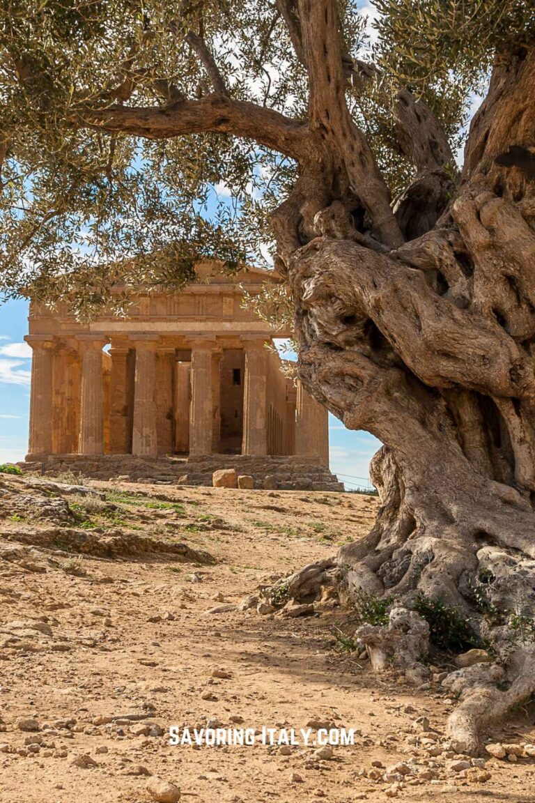 Exploring Alessandria della Rocca: Your Ultimate Travel Guide