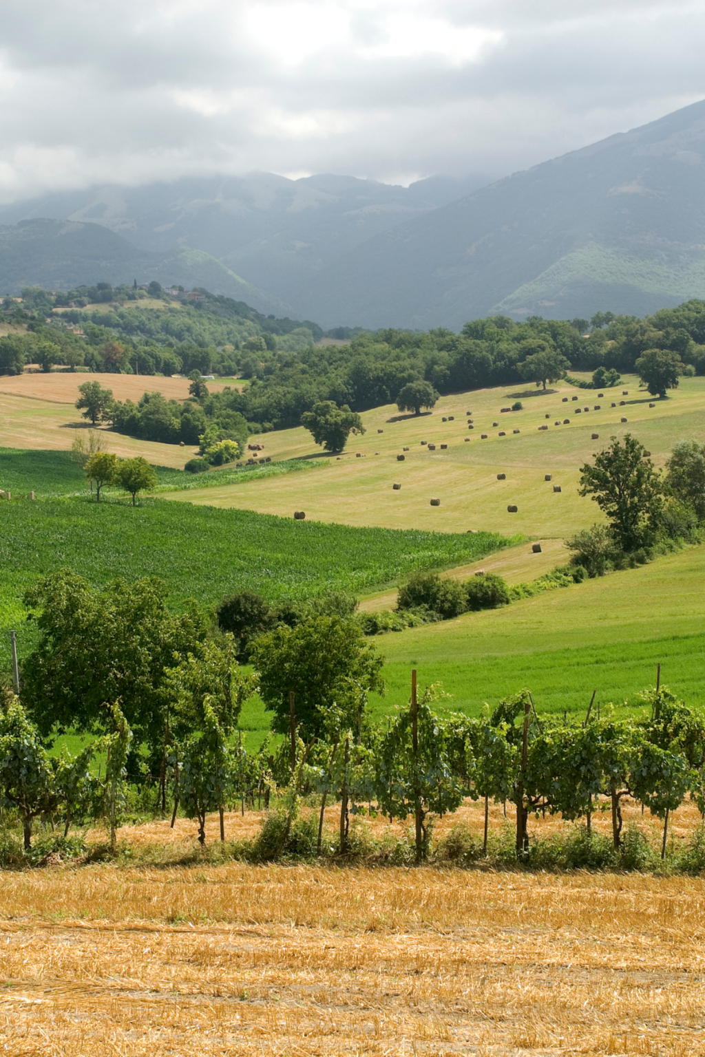 Travel Guide to Terni, Italy (Things to Do 2026)