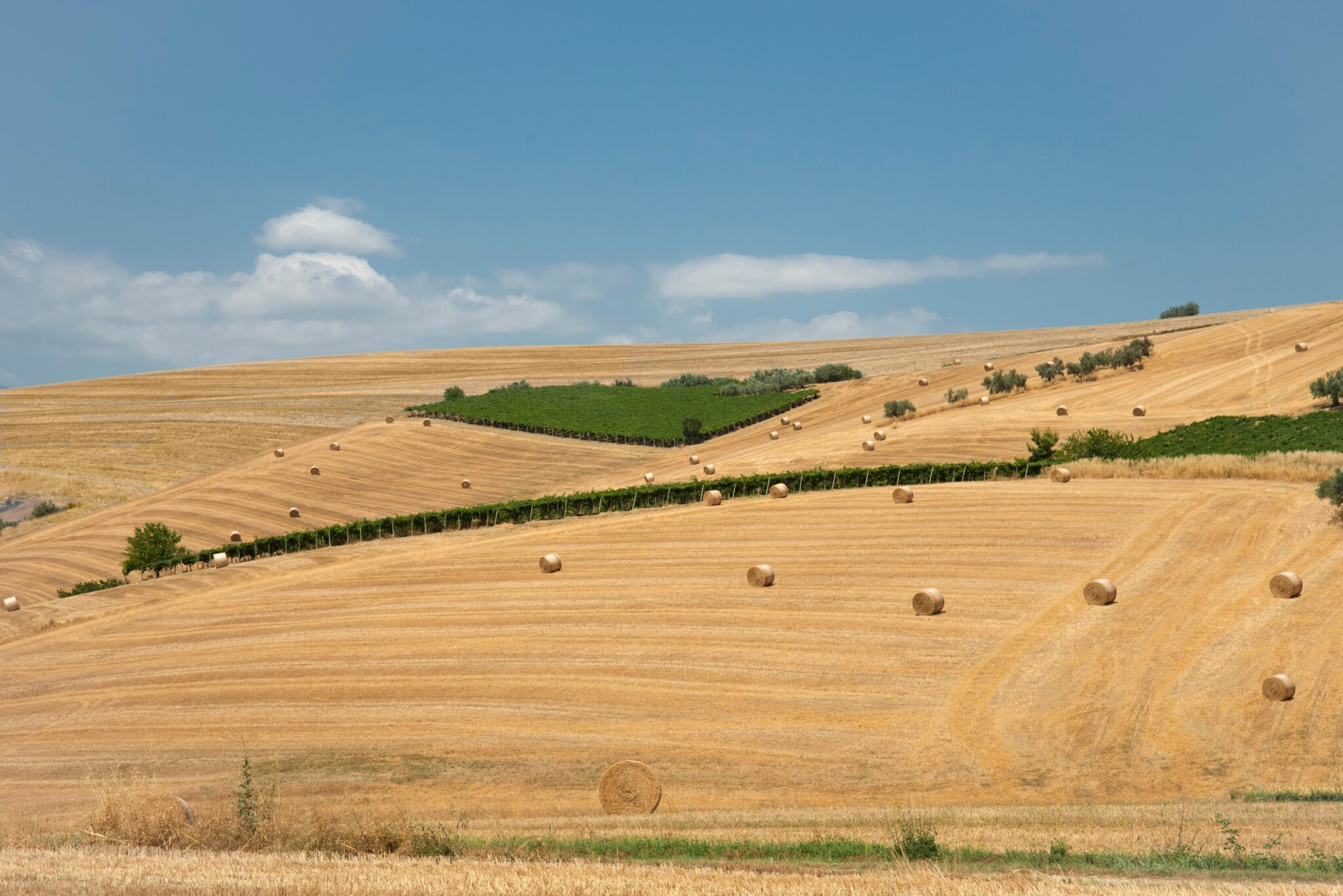 Is Pescara Italy Worth Visiting? What You Need to Know (2025)