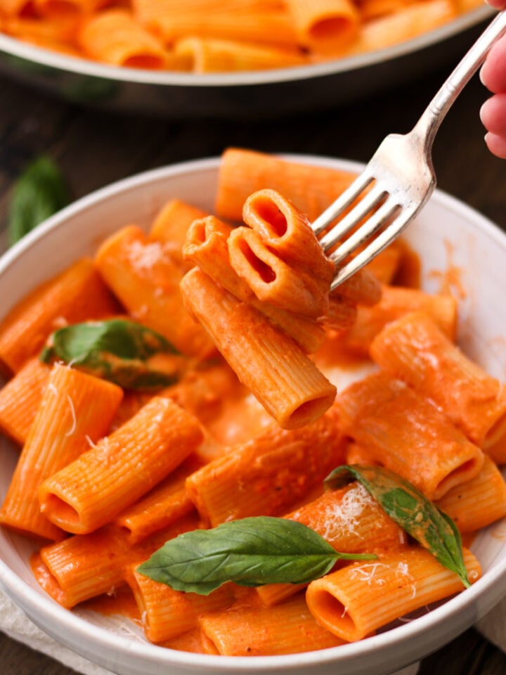 Easy Rigatoni Alla Bolognese (One Pot) - Savoring Italy
